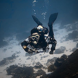 Zhengmao Li 李正卯 | Bioinference Group